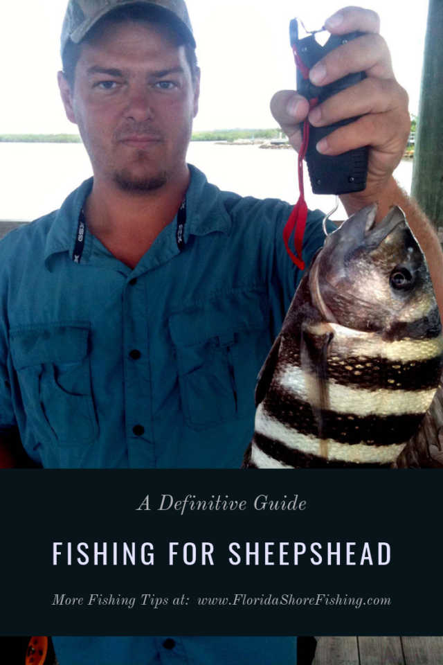Fishing for Sheepshead - How to Catch Sheepshead | Fishing from Florida ...