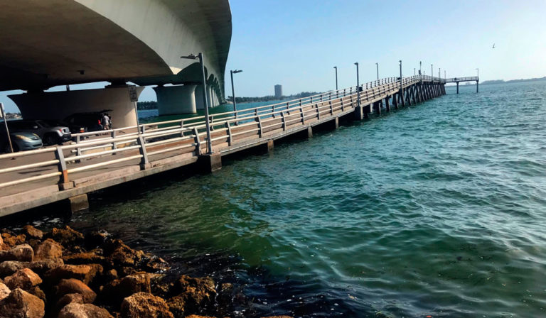 5 Pier Fishing Tips | Fishing from Florida Shores